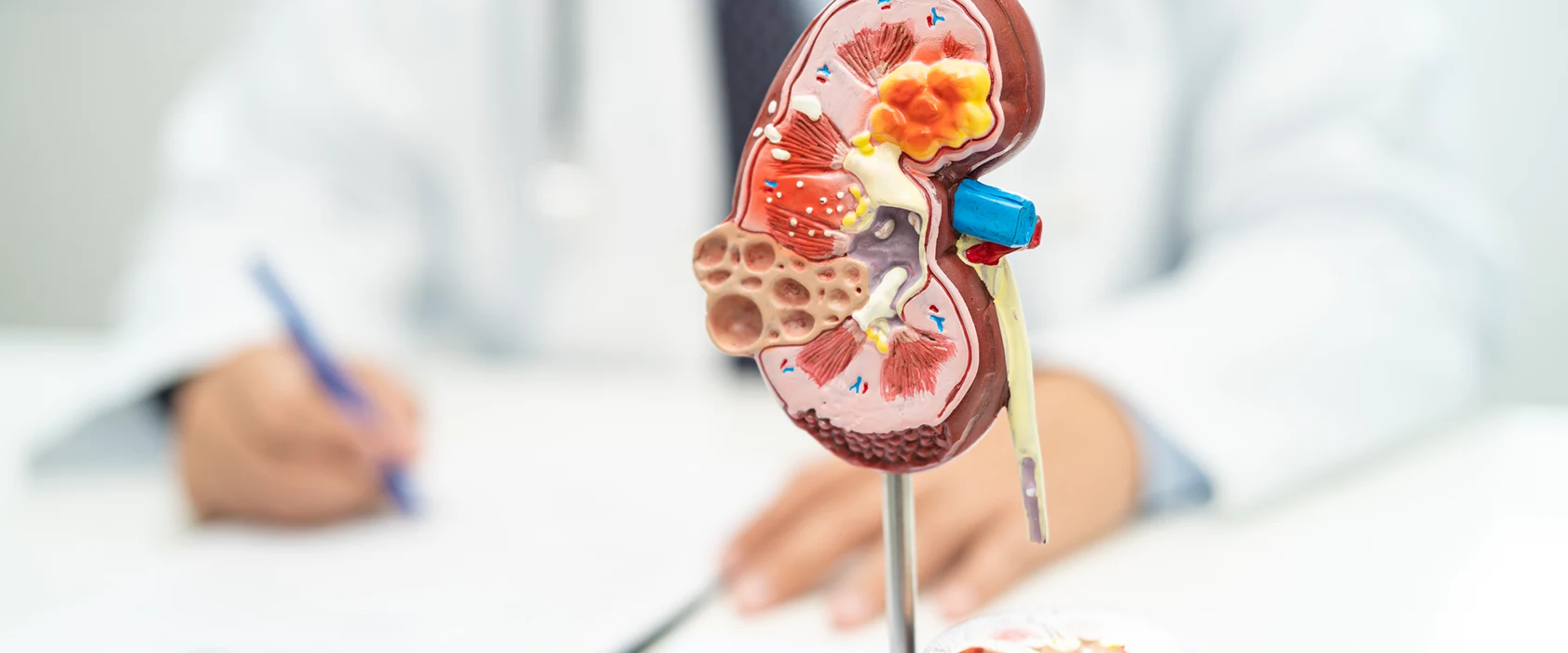 HMG Nephrology - Holston Medical Group - Dialysis in Kingsport & Bristol